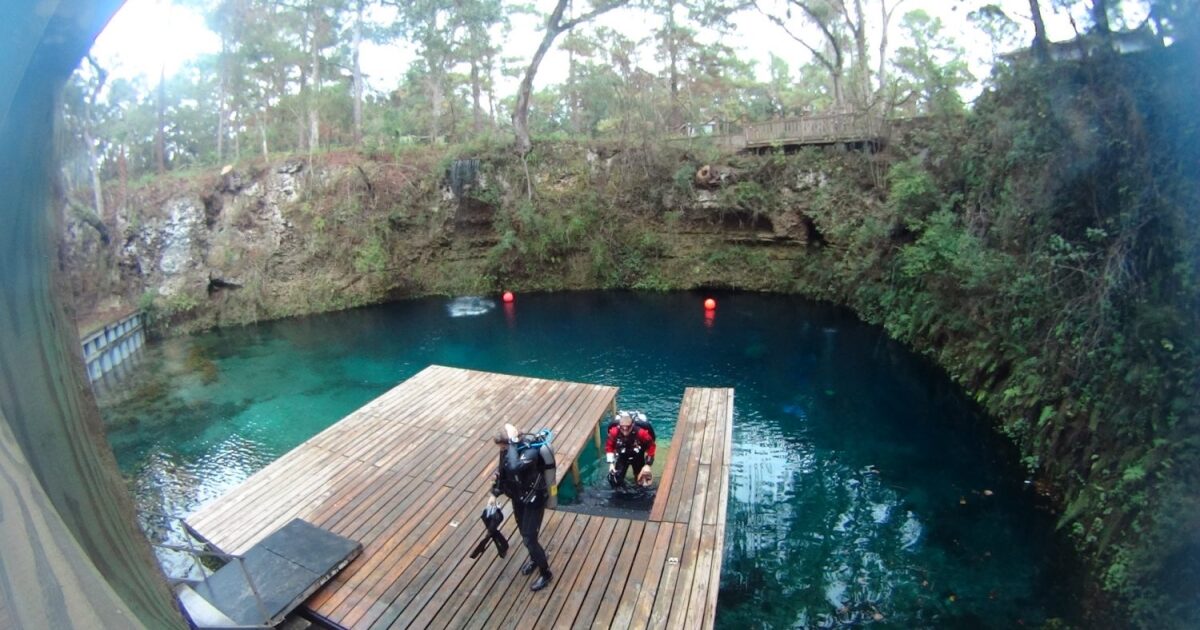 diving eagles crossword