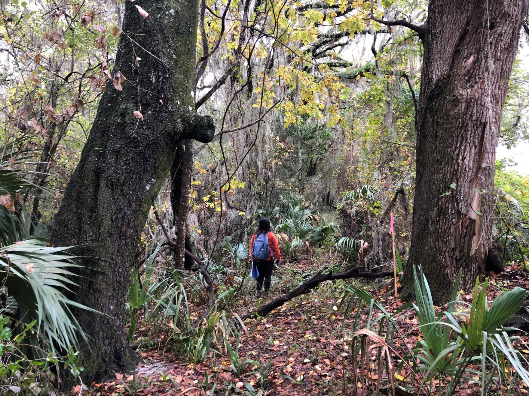 $13.1 million state grant to help complete Archer Braid Trail expansion