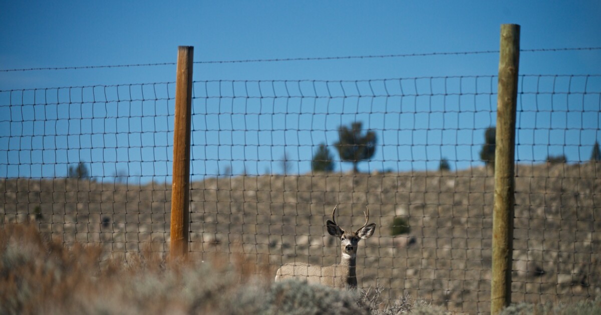New USGS maps show migrations of mule deer, elk, pronghorn across ...