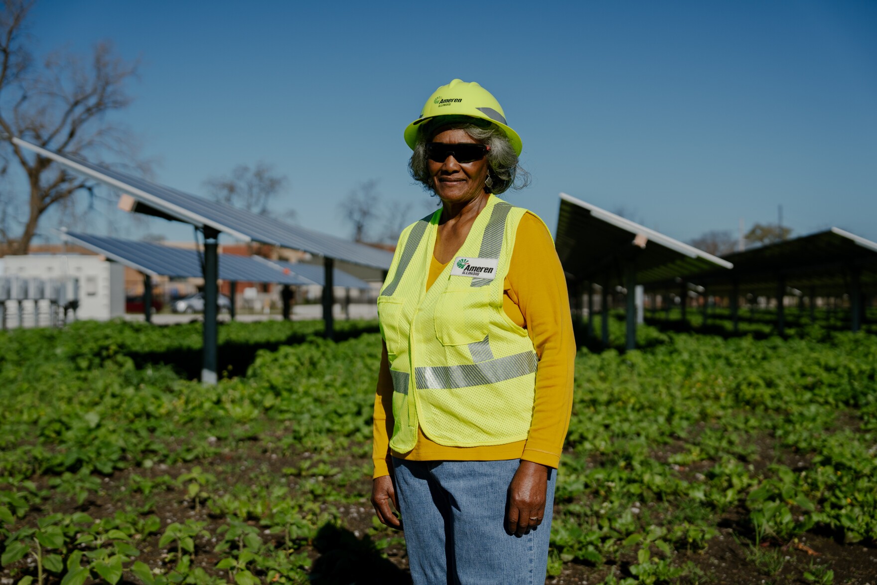 Second of two East St. Louis Ameren solar farms now complete | STLPR