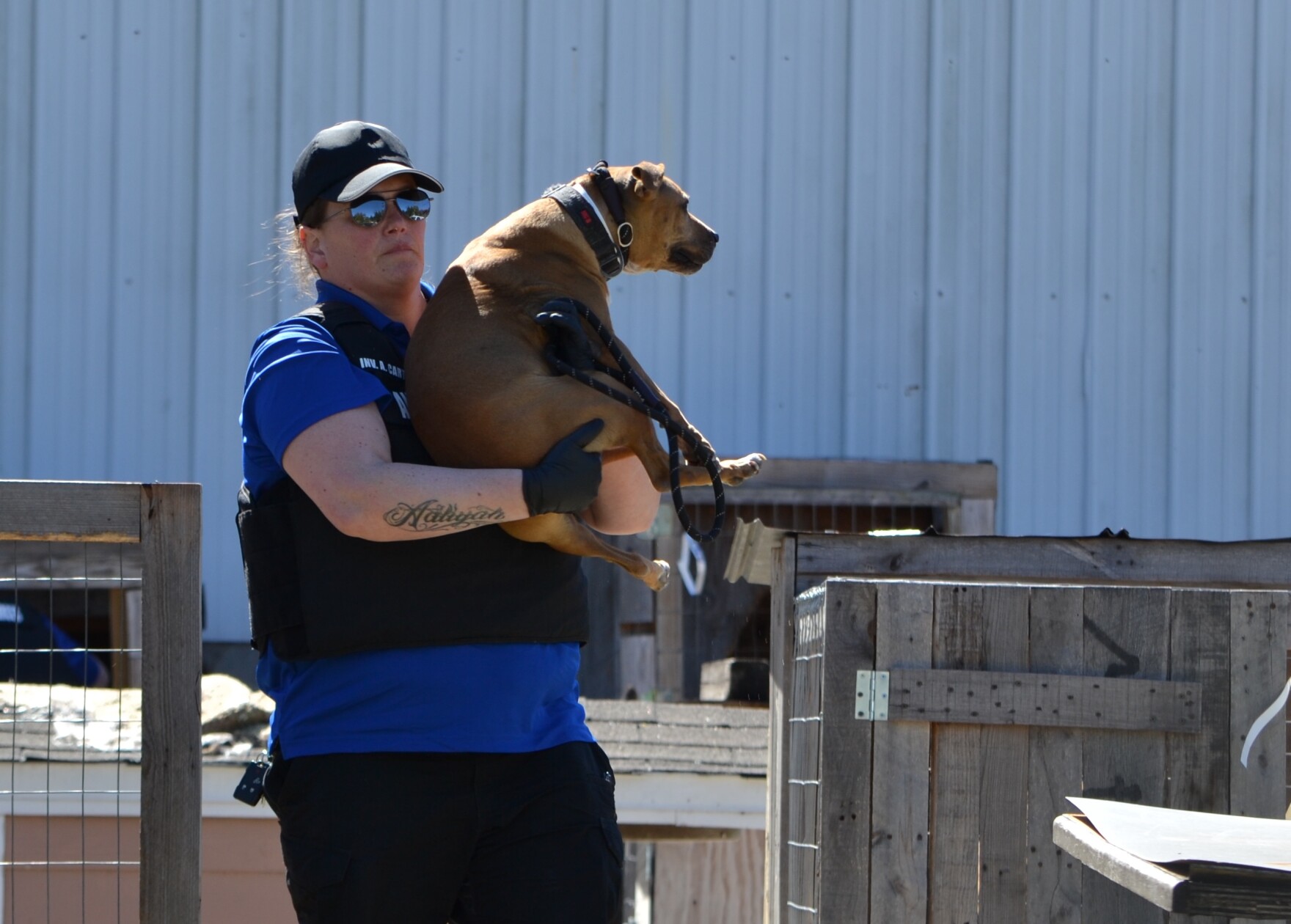 The Point, Feb. 18, 2025: GPD raids downtown warehouse, seizes dogs