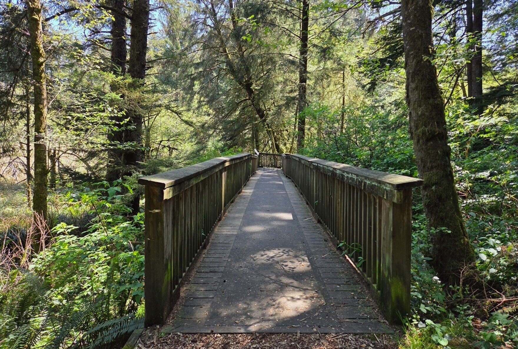 5-year-old lawsuit that changed Oregon’s recreational immunity law ...