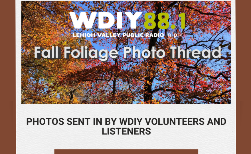 WDIY Listener Fall Foliage Photos 2024