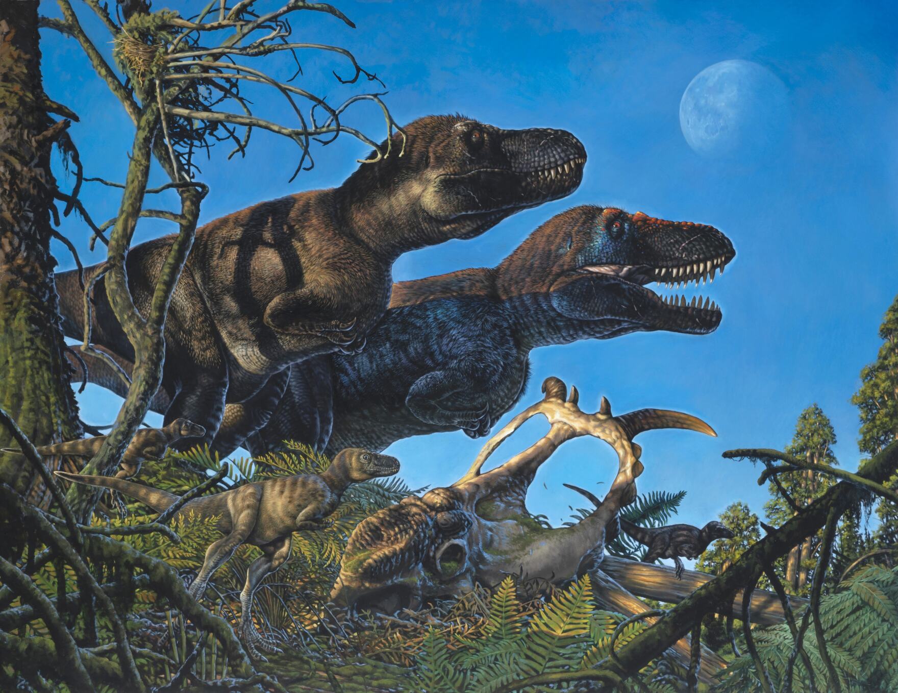 Alaska needs a state dinosaur, lawmaker says, but top dino scientist ...