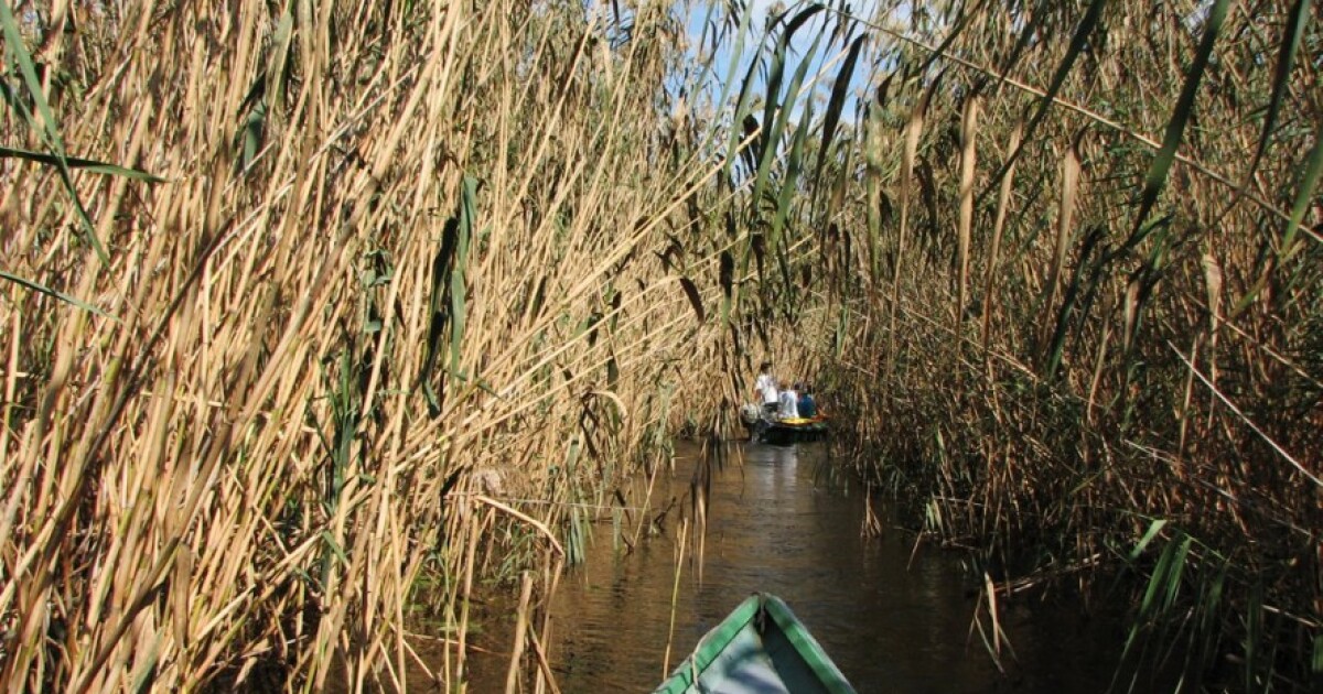 Volga River Towns Fade Along With Prized Sturgeon | Boise State Public ...