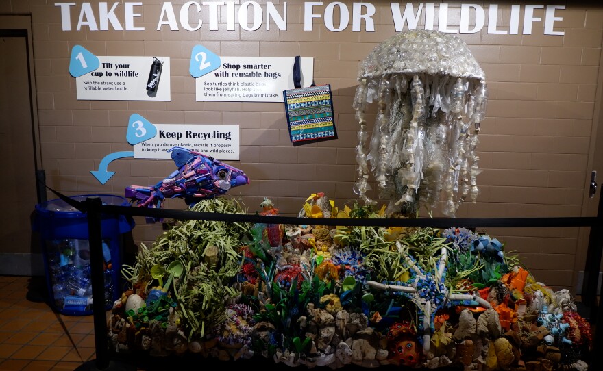 ocean pollution display
