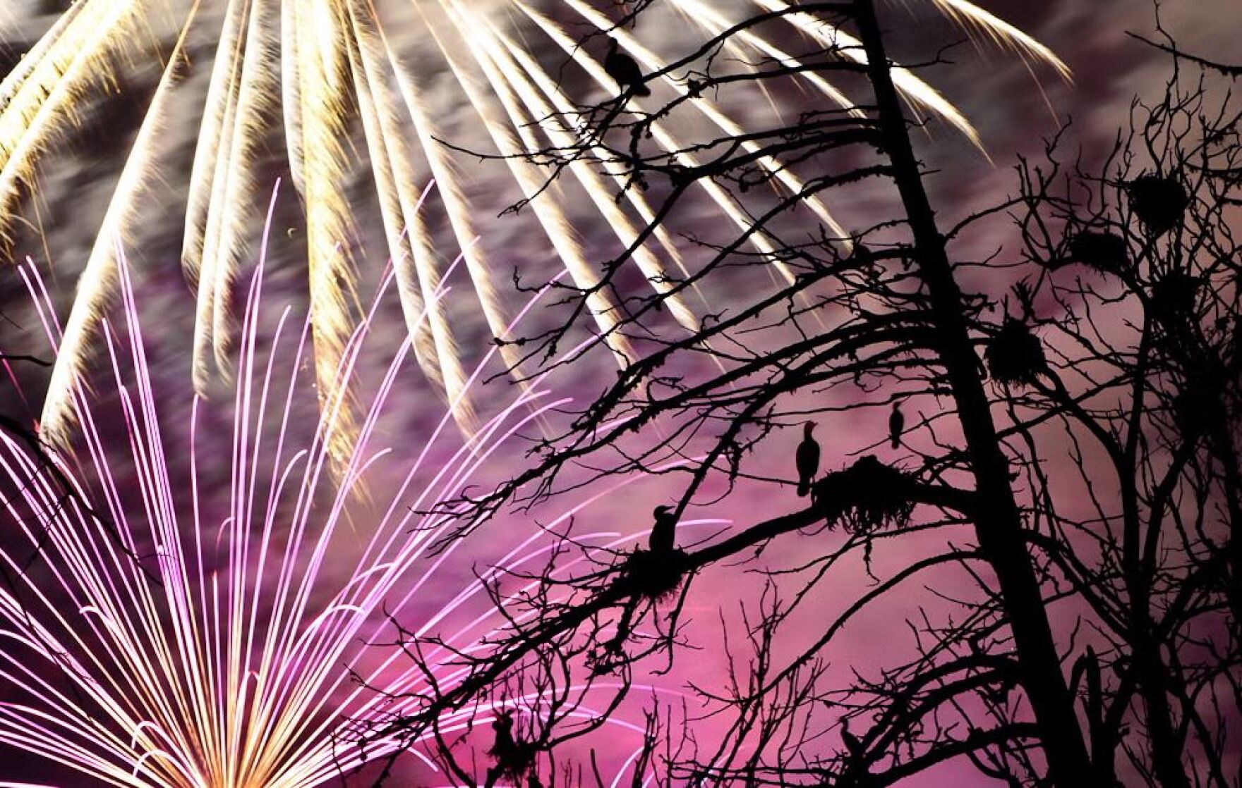 Fireworks usually nixed by burn bans; here's counties with bans | WGCU ...