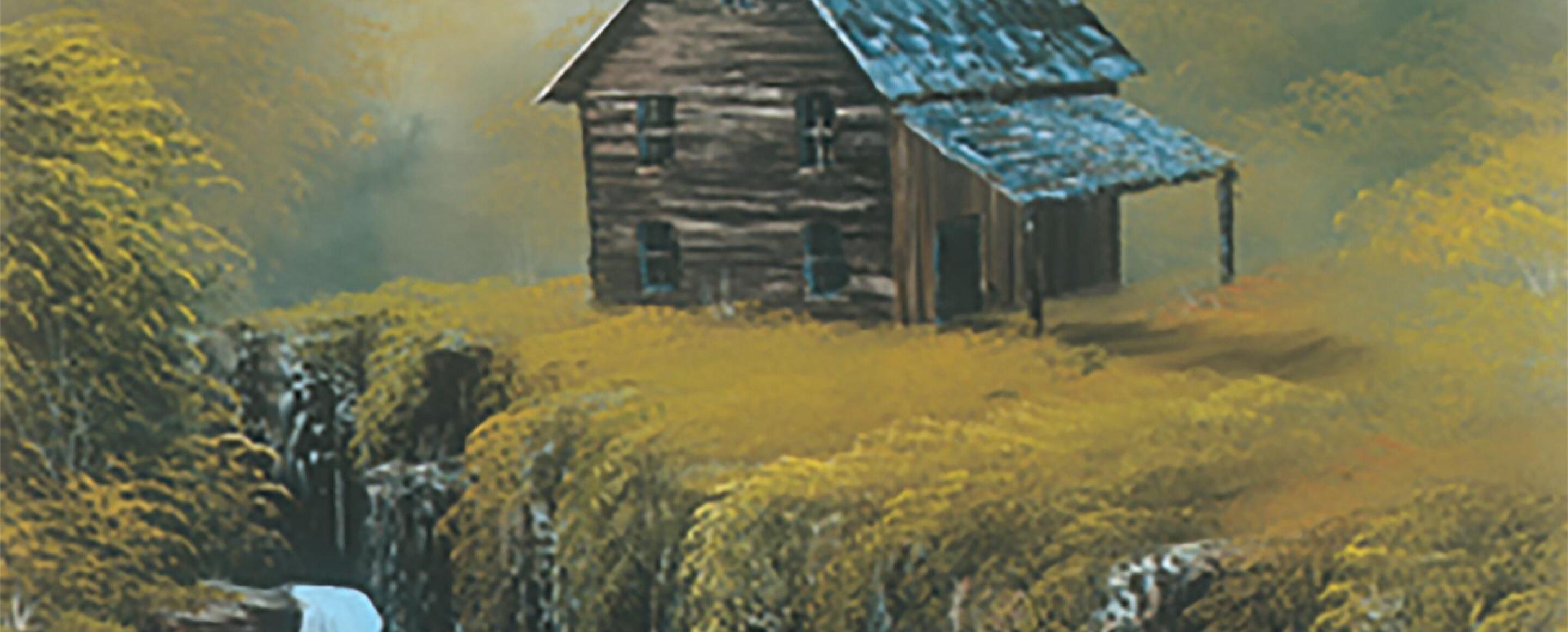 Deep Wilderness Home