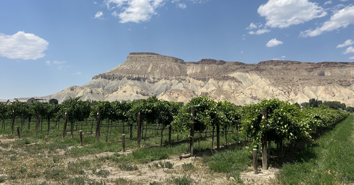 Stewards of Colorado’s sweetest crops on high alert as invasive mussels ...