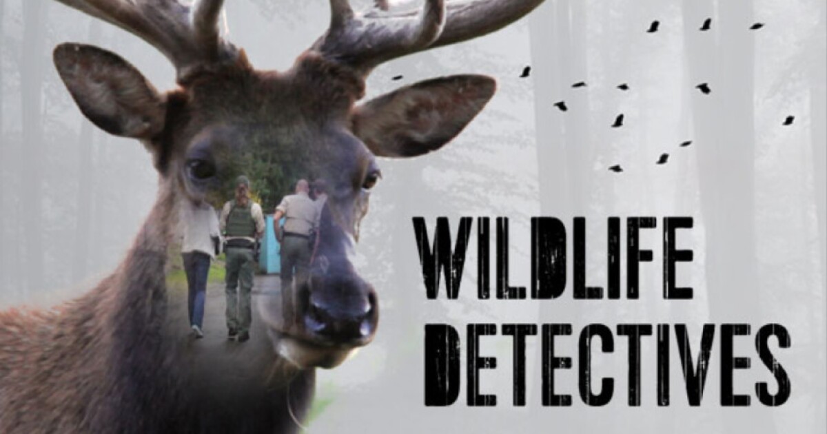 A Guide To "Wildlife Detectives" | Jefferson Public Radio