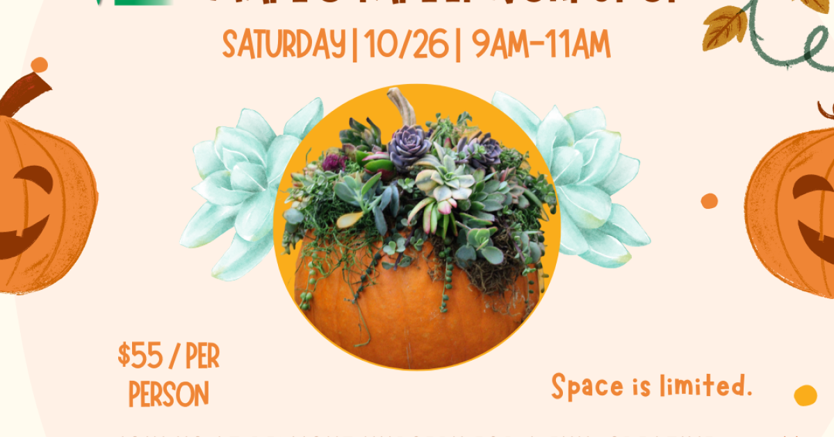 Pumpkins and Succulents Make & Take It Workshop