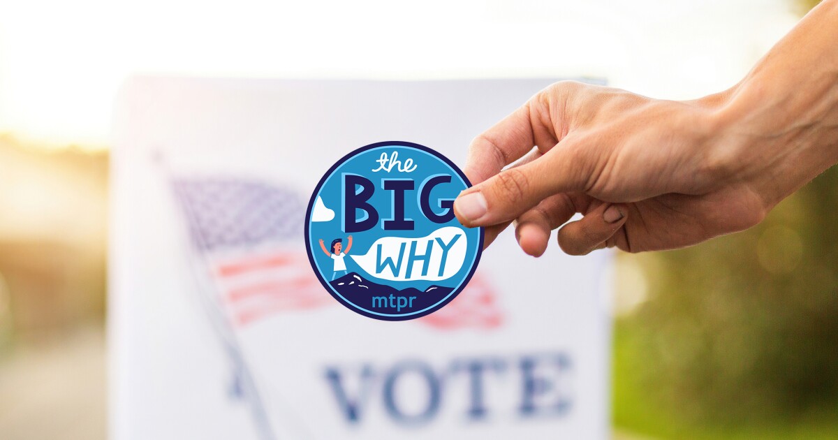 How we vote is on the ballot: Here's what the proposed changes would ...