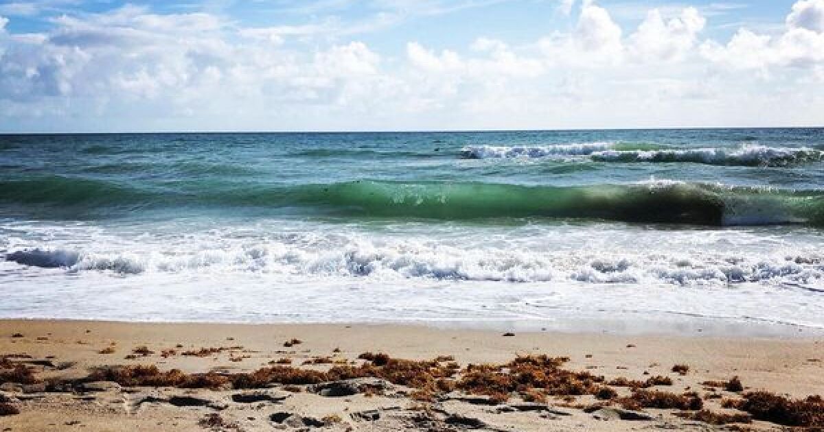 NWS Melbourne: Wind, High Surf and Coastal Flood Advisories in Effect ... NWS Melbourne: Wind, High Surf and Coastal Flood Advisories in Effect ...