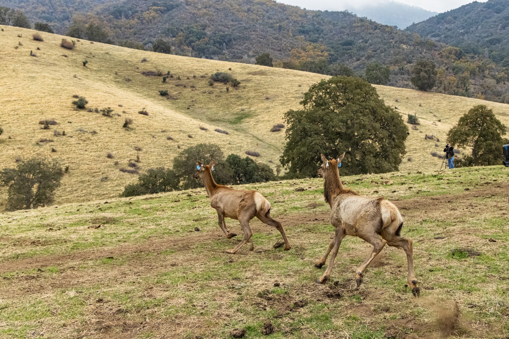 Tule River Indian Tribe regains 17,000 acres of ancestral land