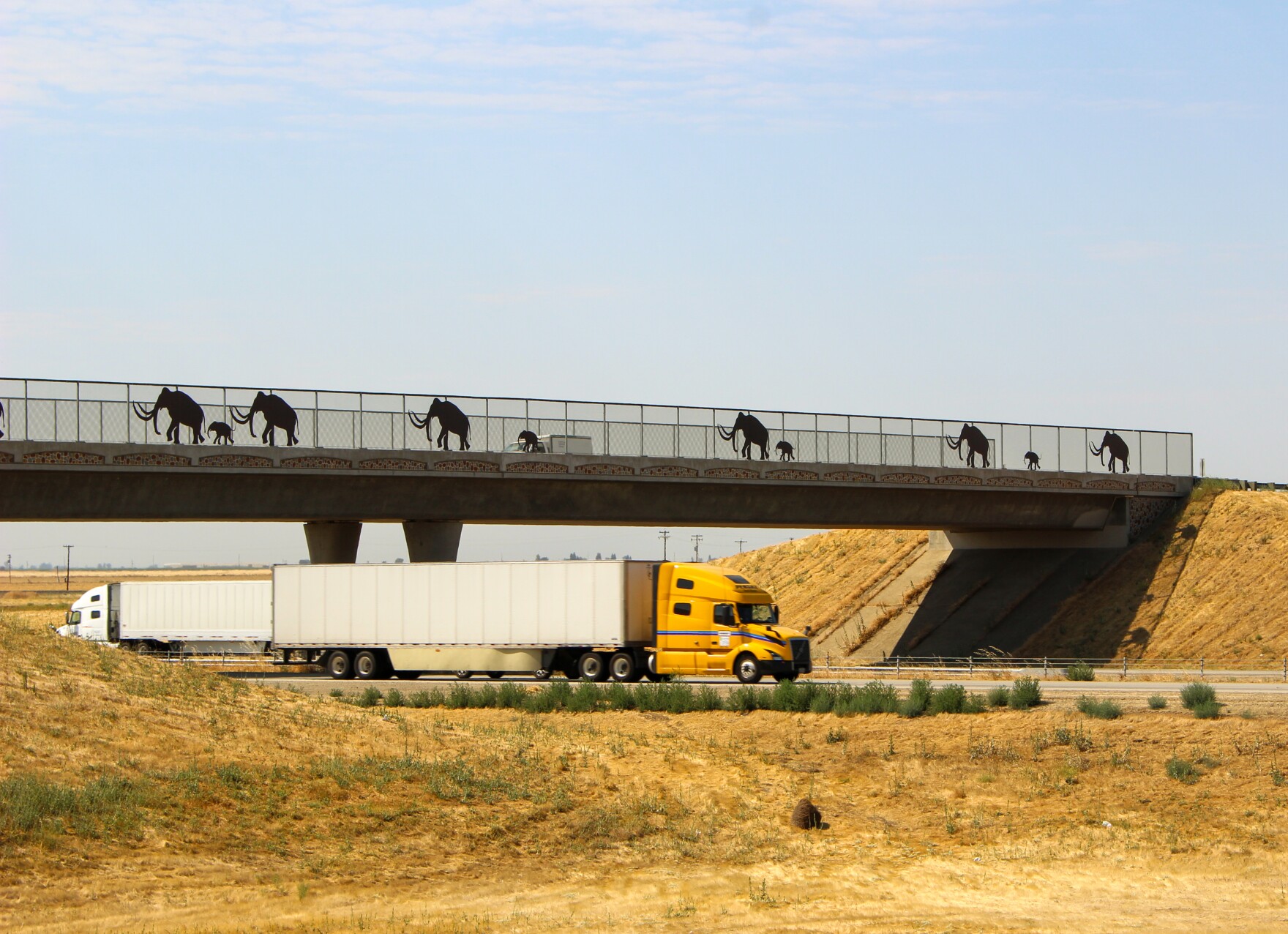 Mammoth art installation points to California’s Ice Age past