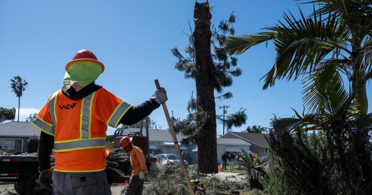 March 15, 2025 - PBS News Weekend full episode | Connecticut Public