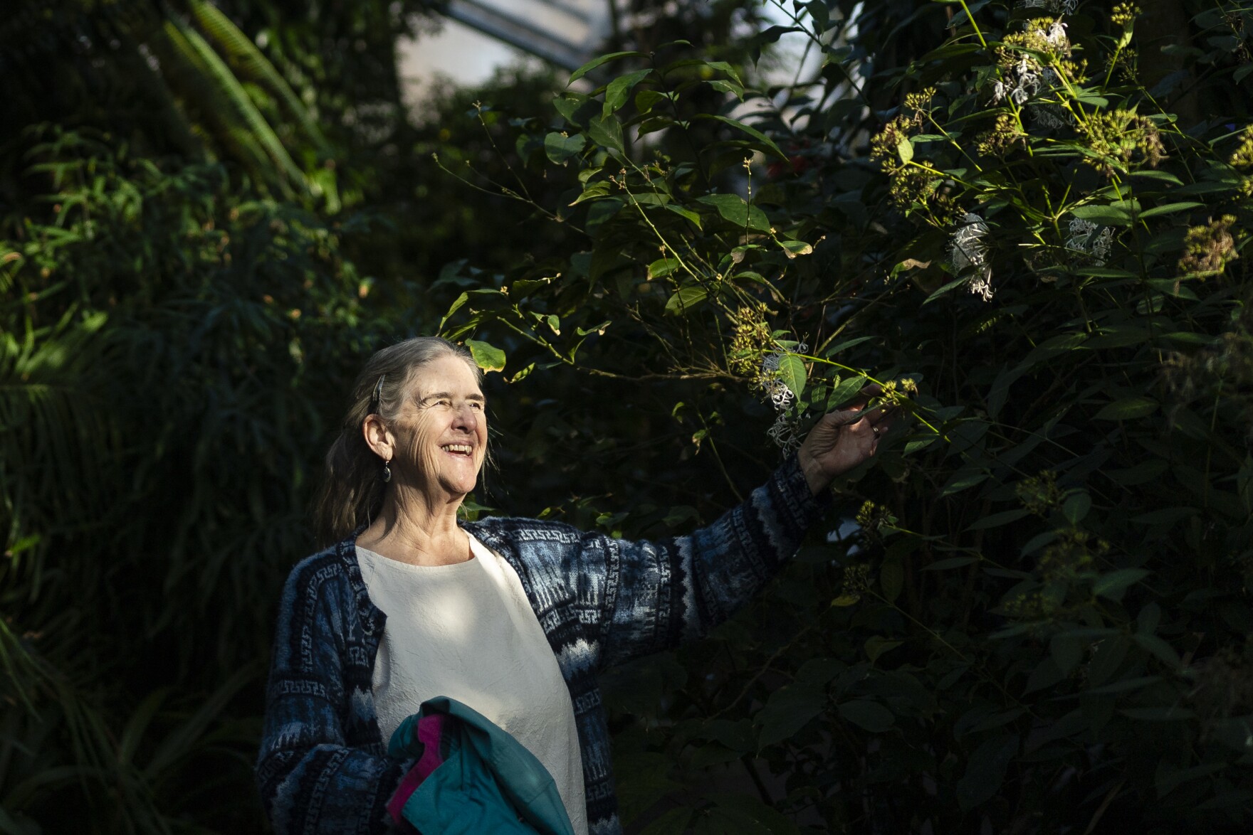 Missouri scientist is the world's top female botanist for naming new plants | KCUR - Kansas City ...