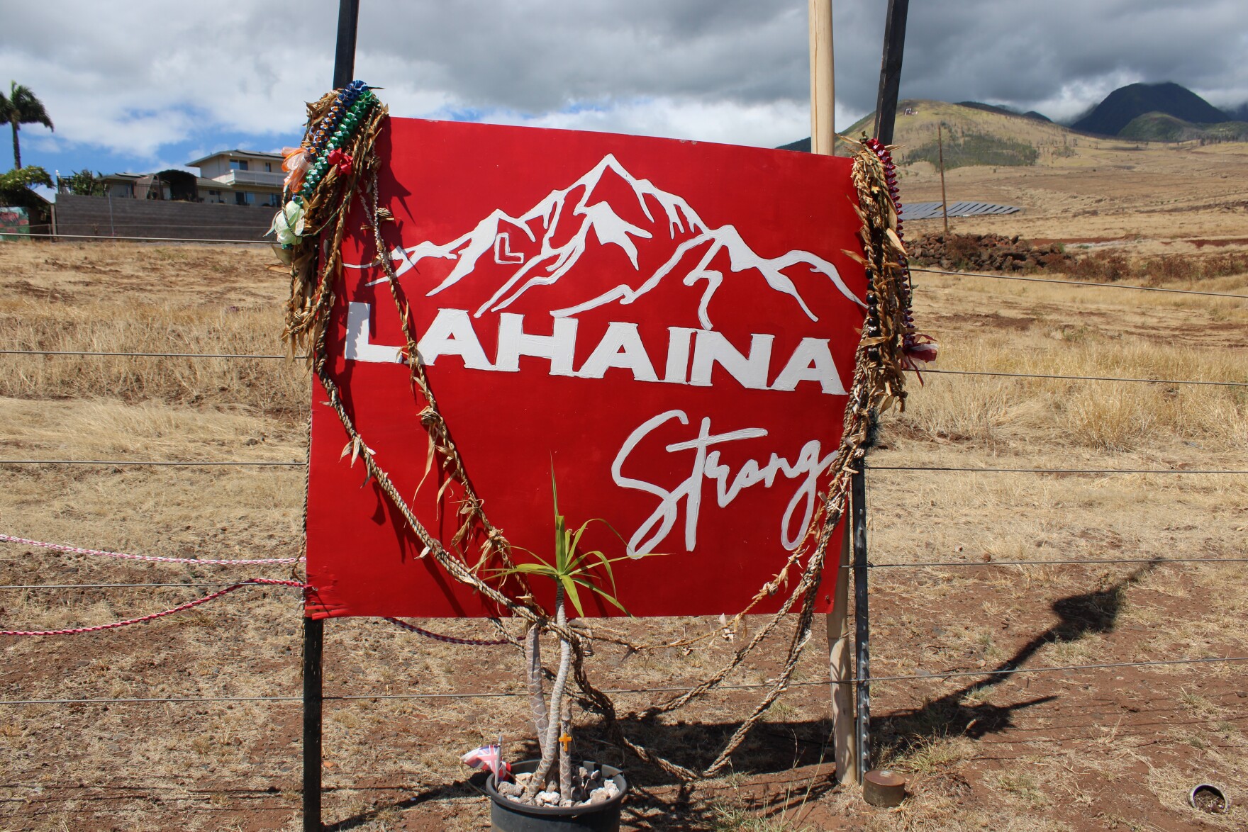 Photos: Cleanup and recovery in Lahaina 1 year after the fires | Hawai ...