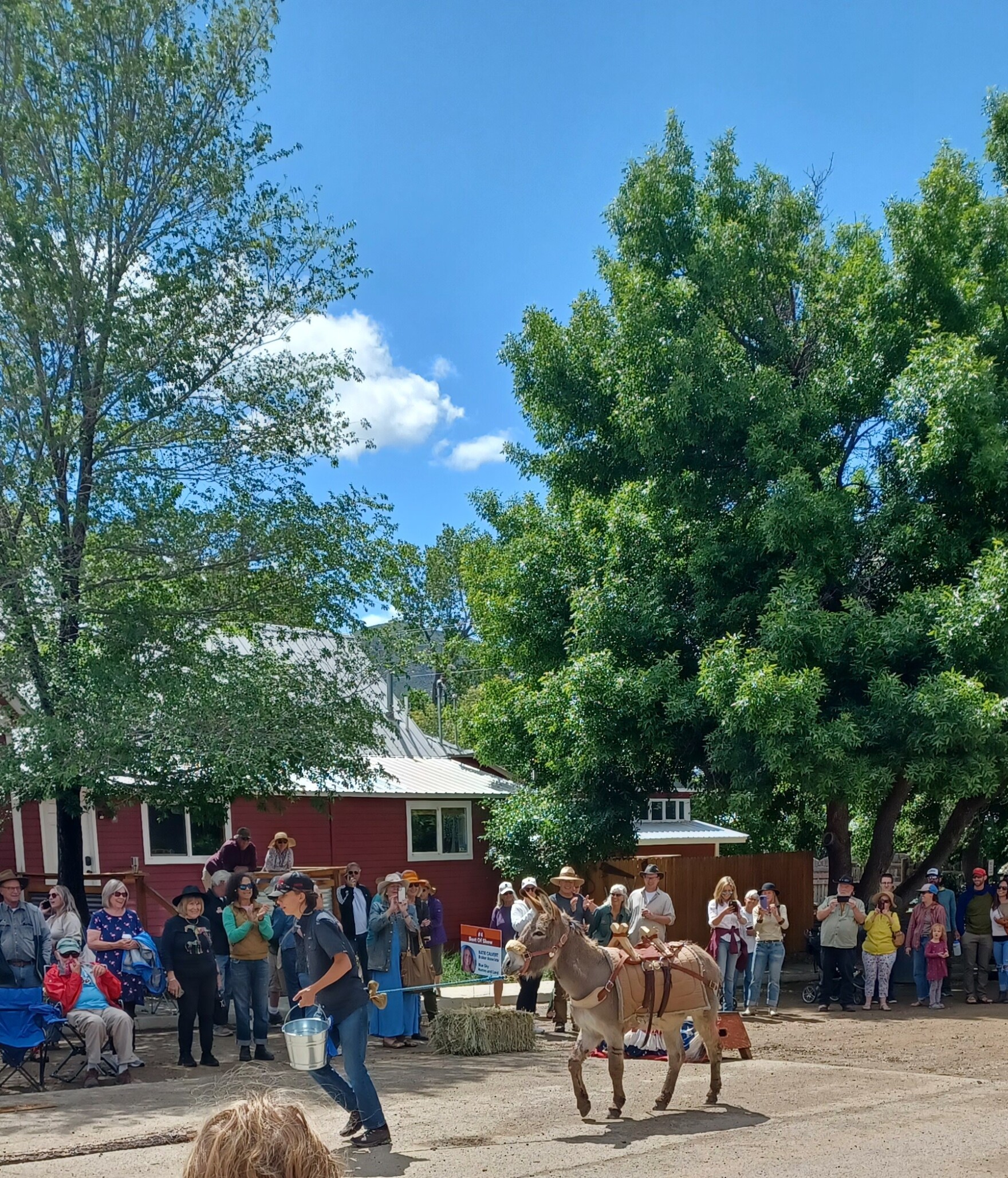 Sounds of summer: An audio postcard from Burrofest in Mancos | KDNK ...