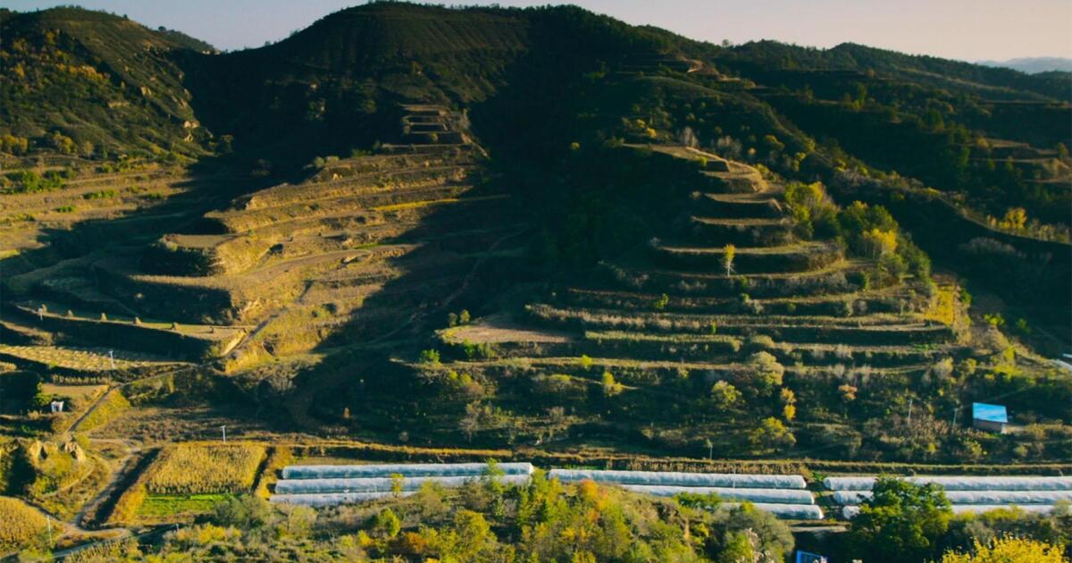 The Impact of the Loess Plateau Rehabilitation Project | Connecticut Public