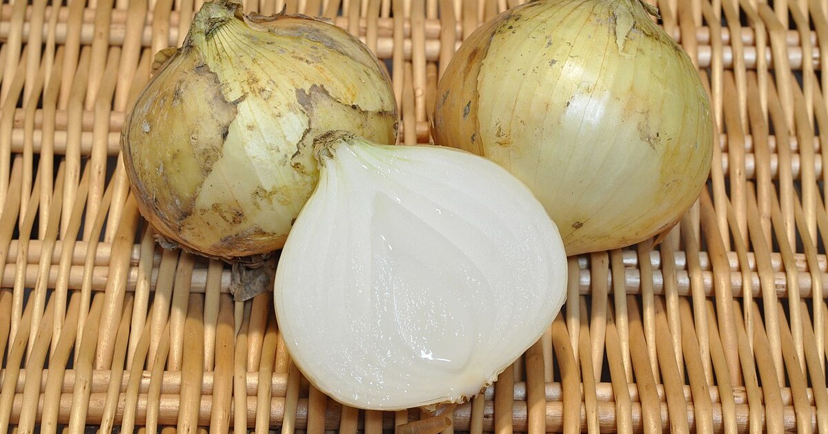 All About Onions | WYPR