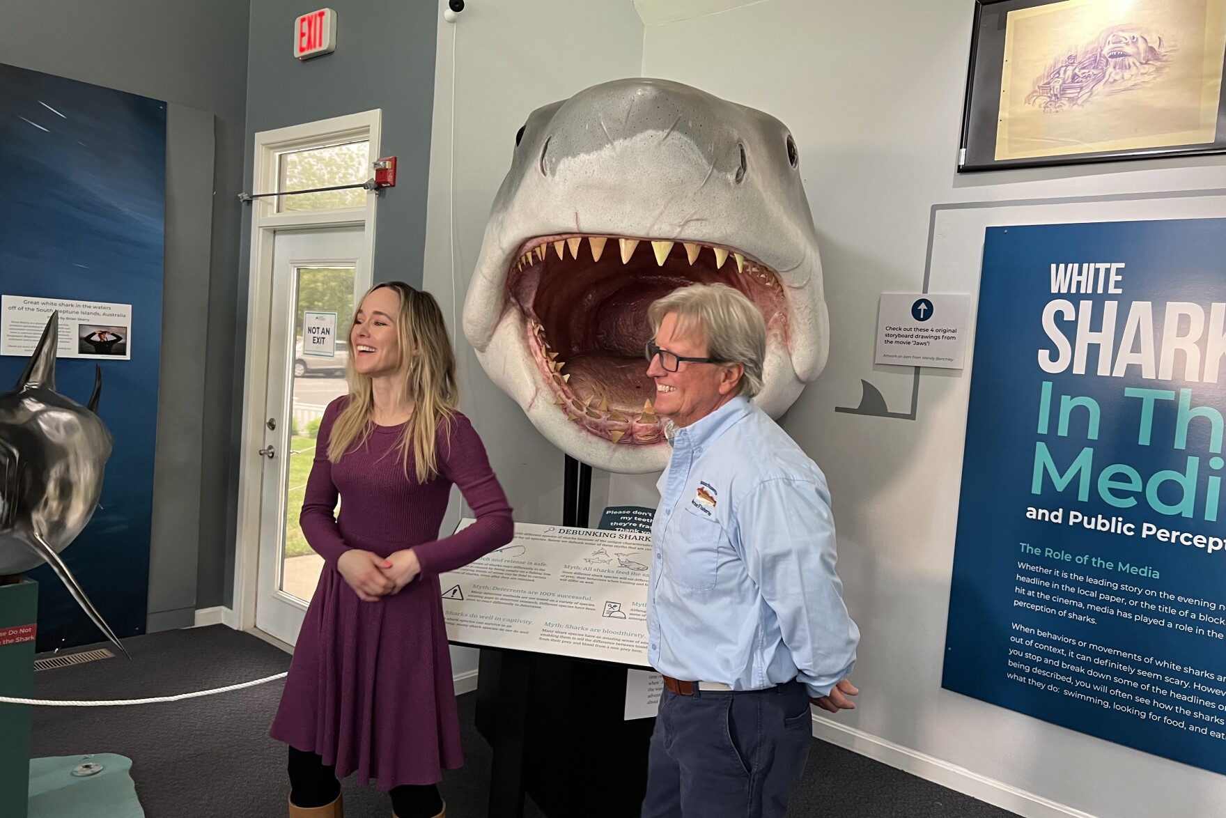 50 years since Jaws, shark scientists have learned a lot. Here's what's ...