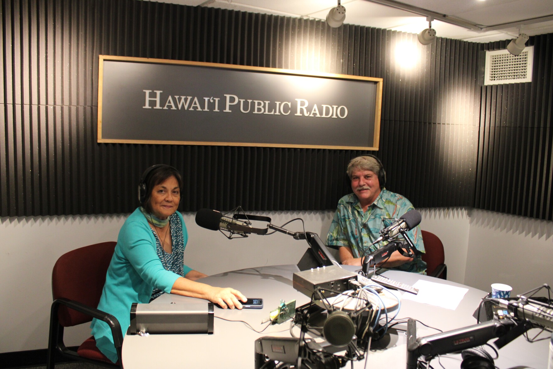 Yellow tang fish bred in captivity to be released near Windward Oʻahu ...