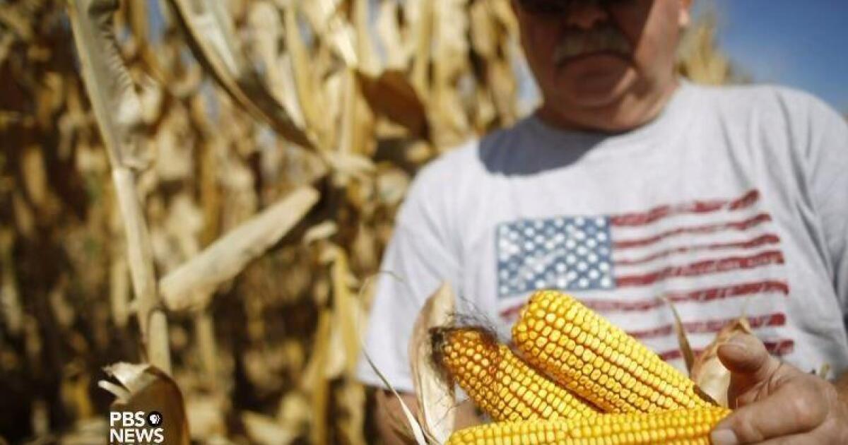 Farm-fresh healthy food doesn't have to be pricey or pretty | WKAR ...