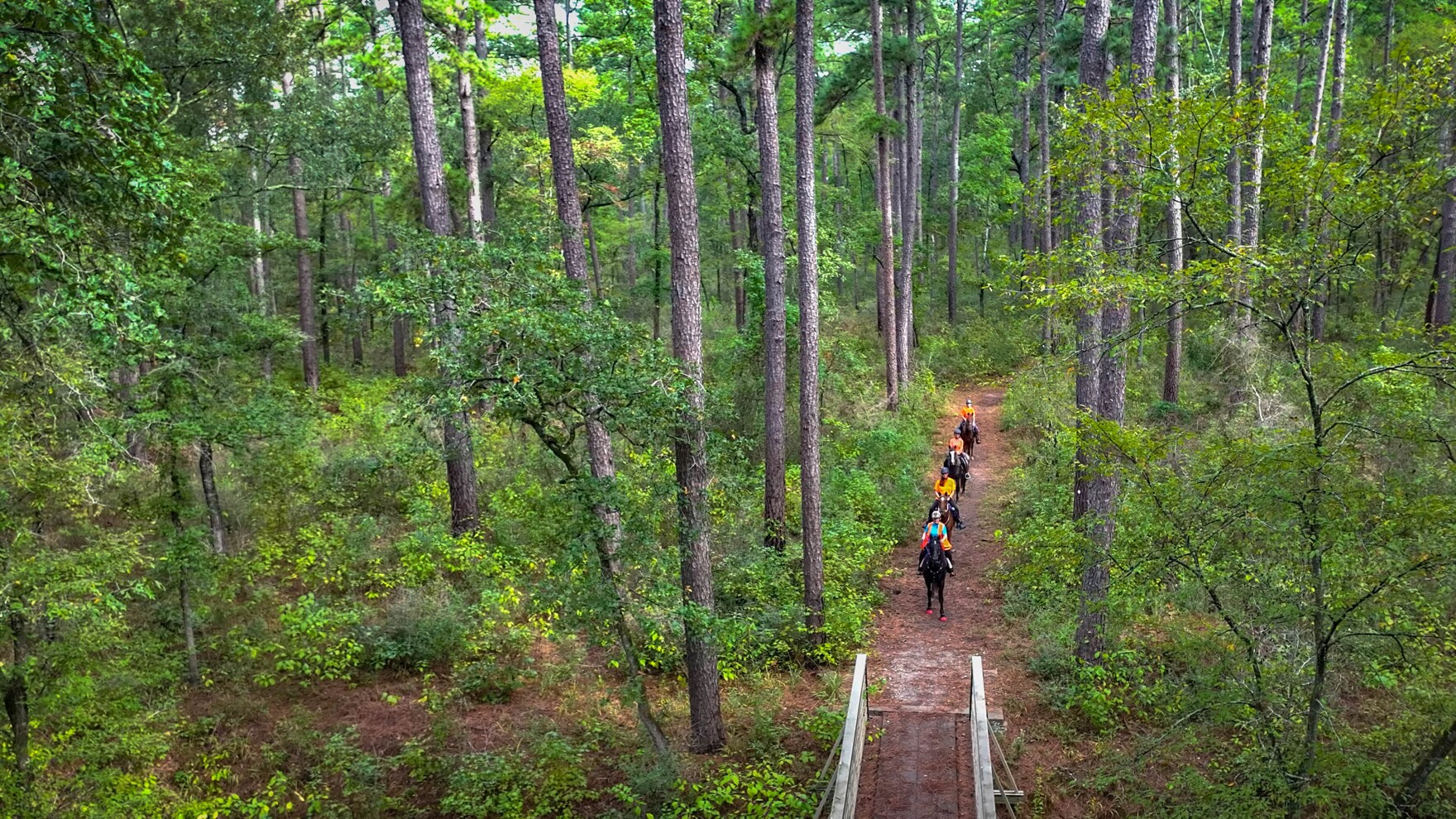 A company wanted to store carbon under US forests; it may get its wish ...
