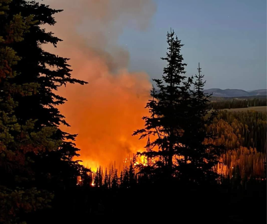Yellow Lake Fire now at 2,300 acres, difficult terrain slows ...