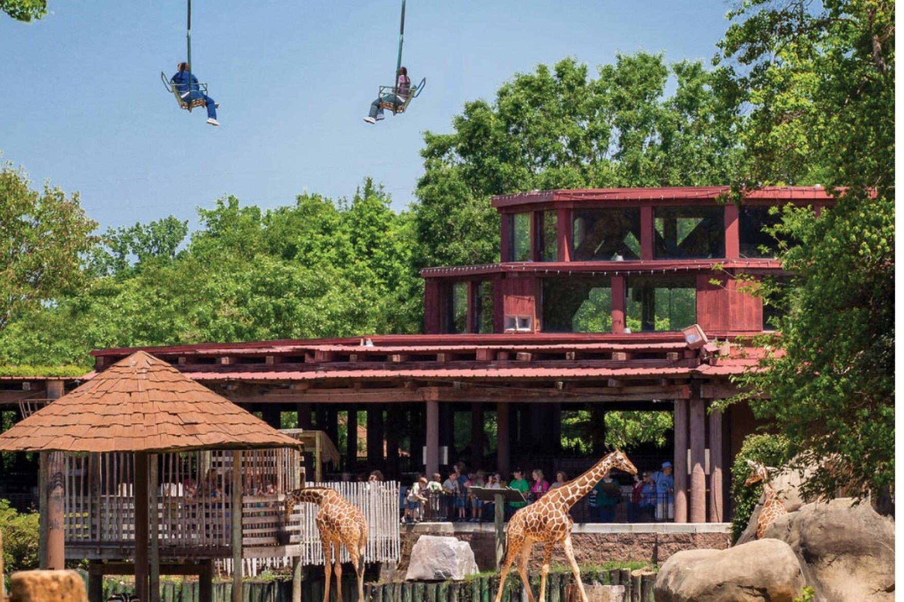 Montgomery Zoo to provide Dino Dig Education Program | Alabama Public Radio