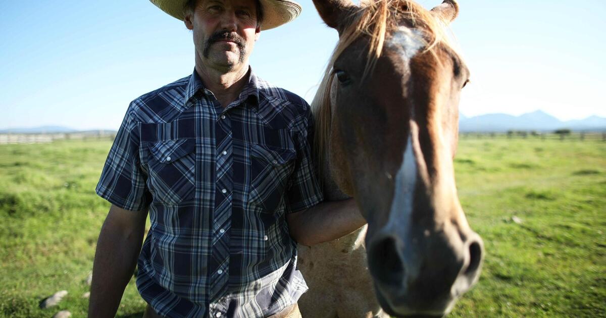 The Threat of Wolves in Montana | Connecticut Public