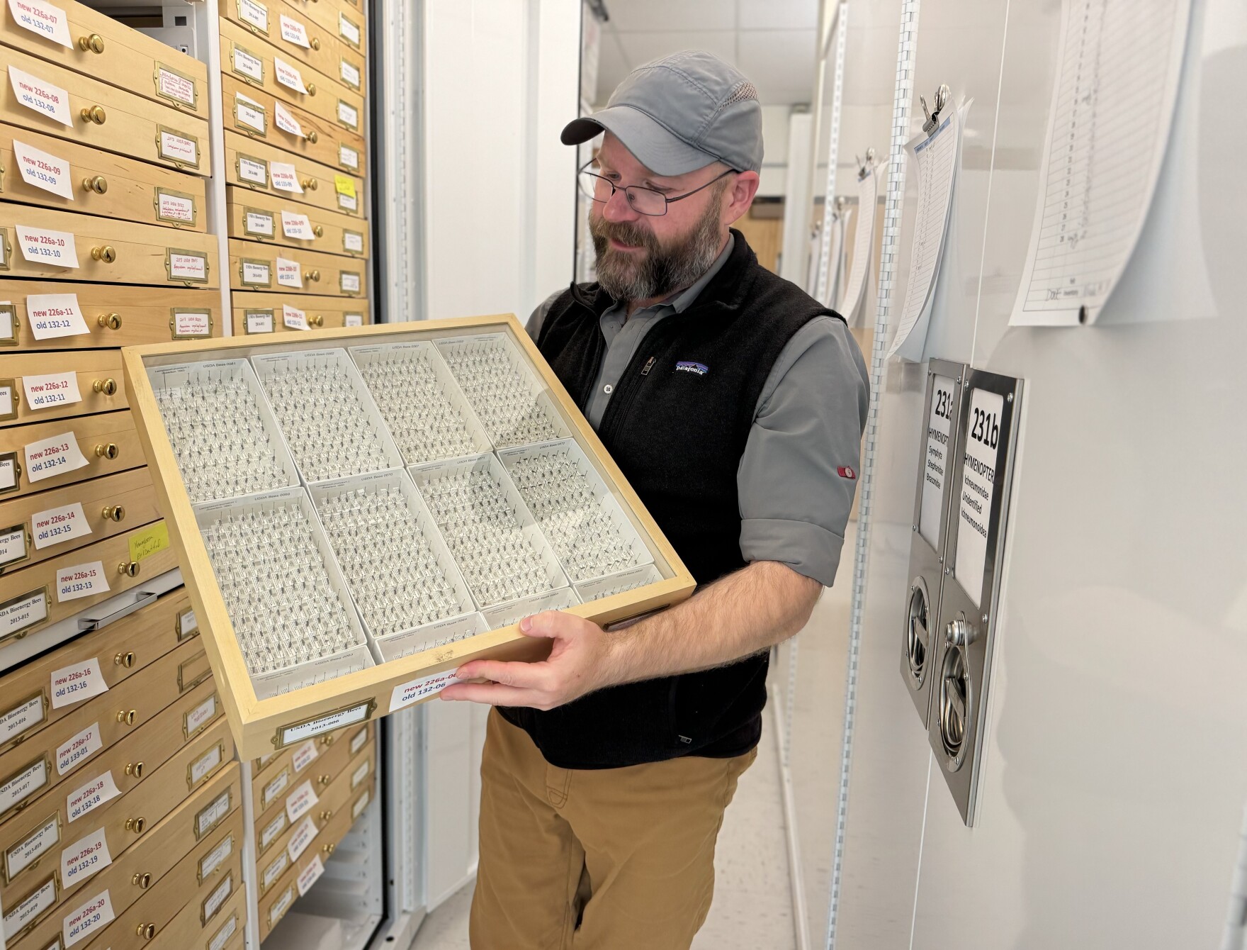 From paper to pixels, Mountain West researchers bring bee collections ...