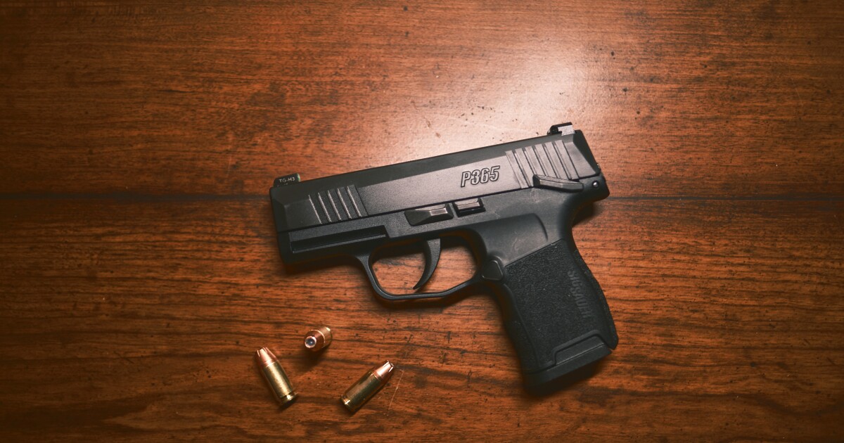 Iowa House advances 2 bills to loosen gun restrictions | Iowa Public Radio