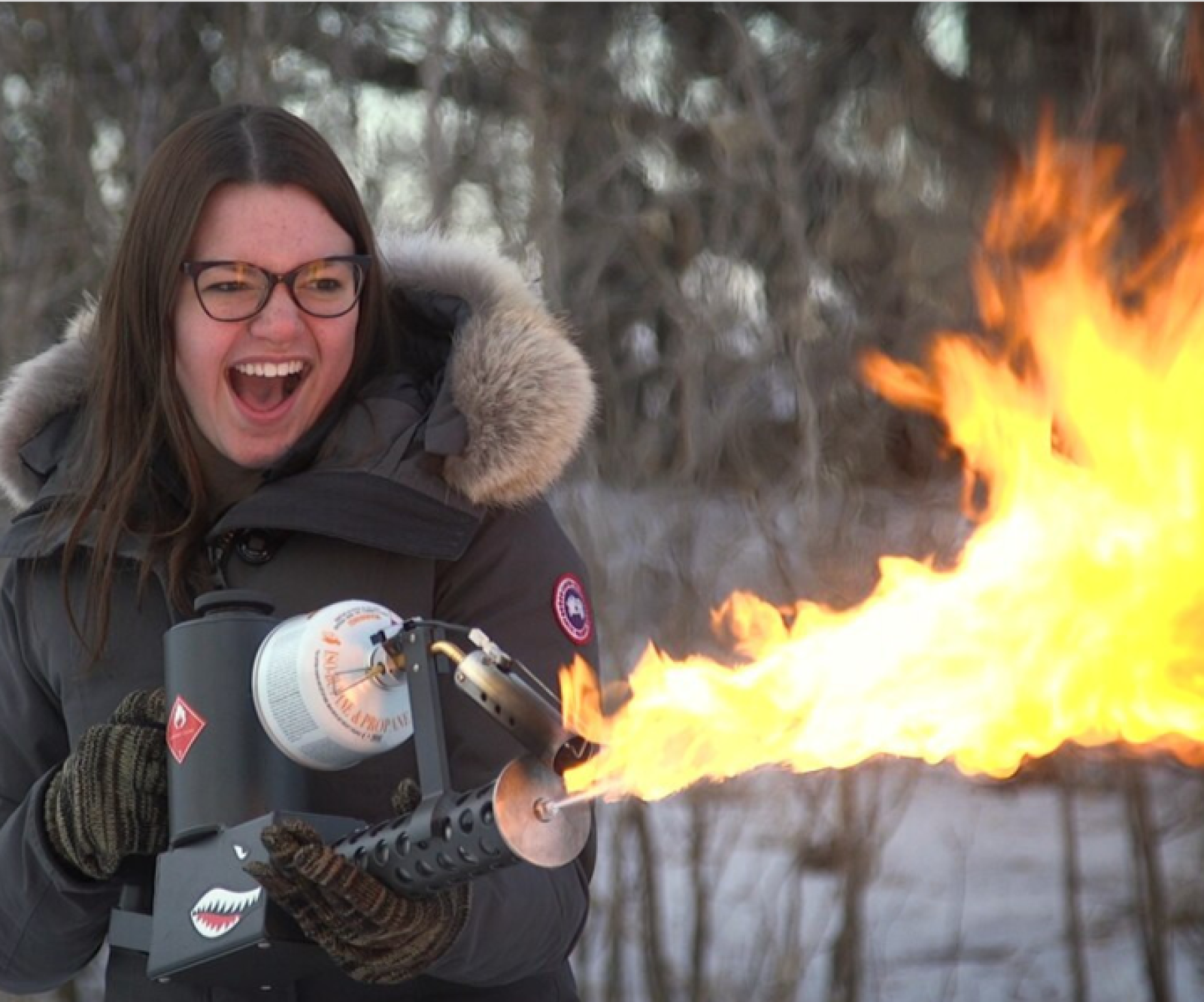 Judge sentences Gainesville man who shot flamethrower at neighborhood ...