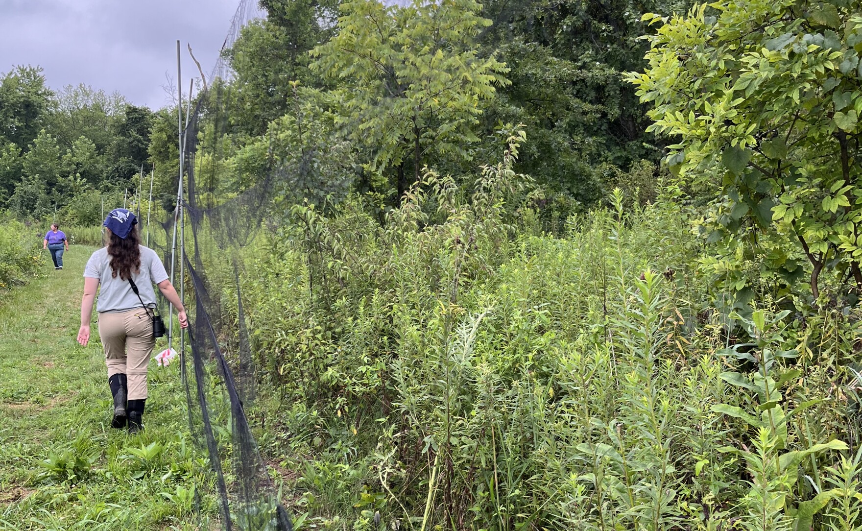 U. of Cincinnati ornithologist is training next generation of bird ...