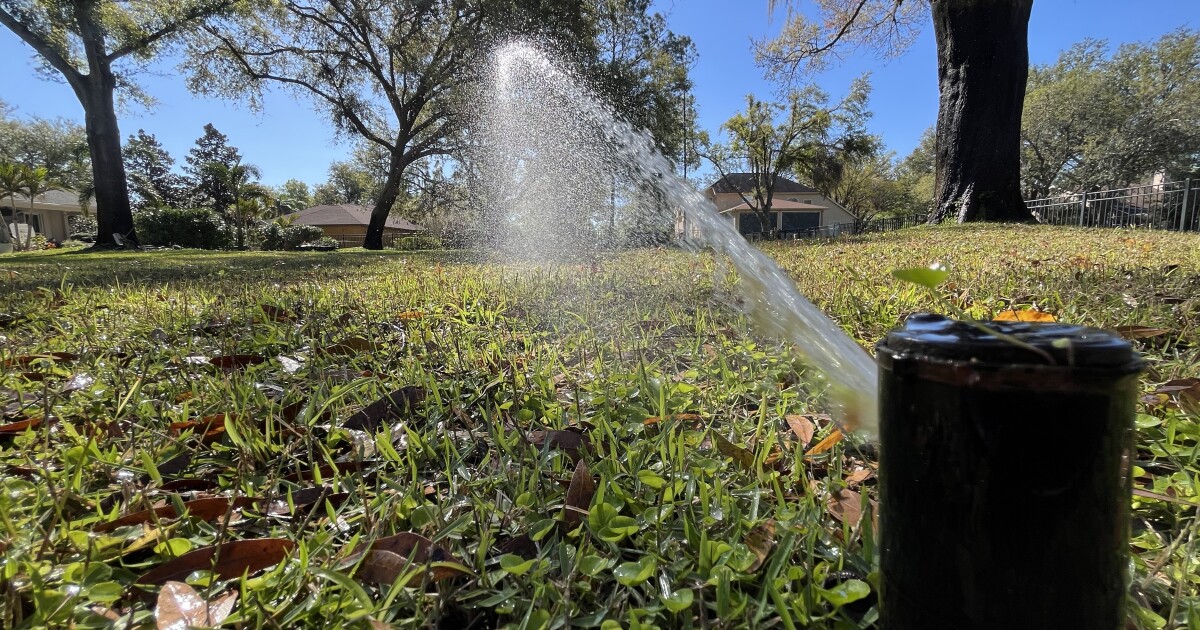 Sprinklers could contribute to your expensive Hillsborough water bill ...