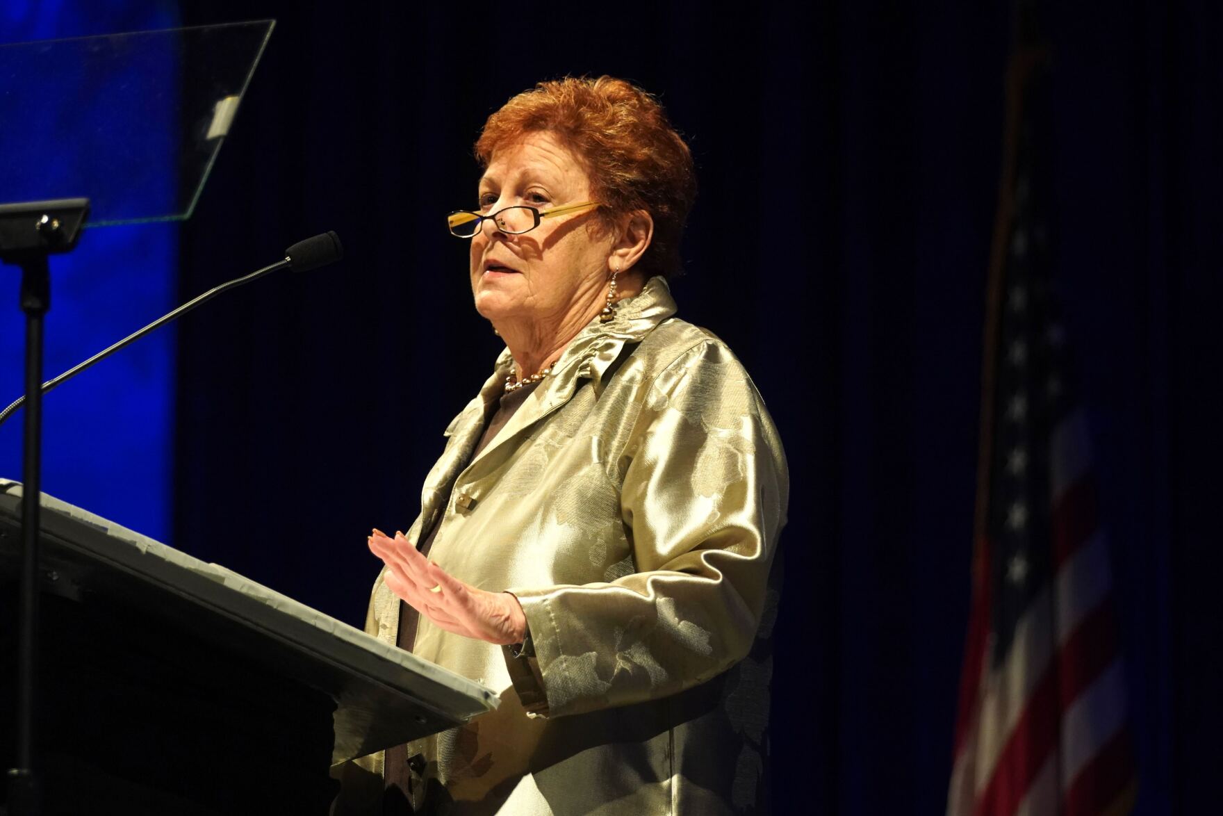 Ilene Shapiro talks infrastructure at Summit State of the County ...