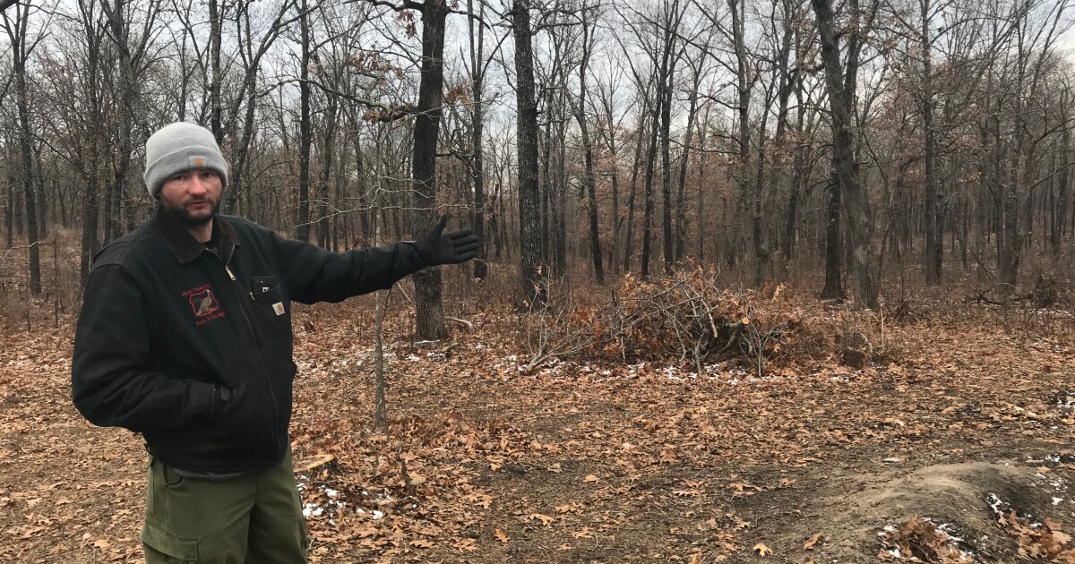 How Midwestern National Forests Keep Fires At Bay And Prepare For ...