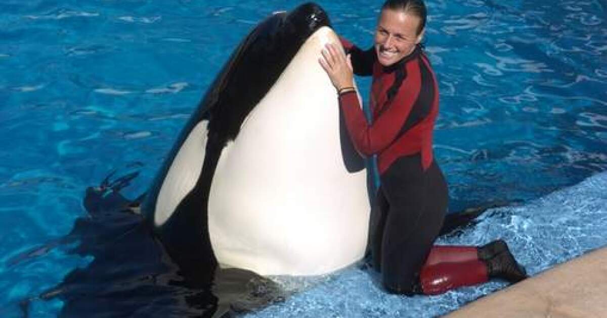 blackfish documentary