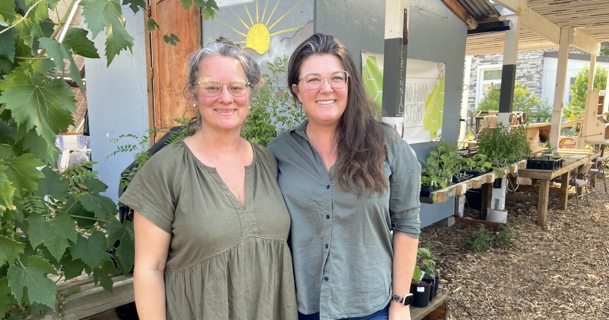 Support groups for people anxious about climate change are on the rise ...