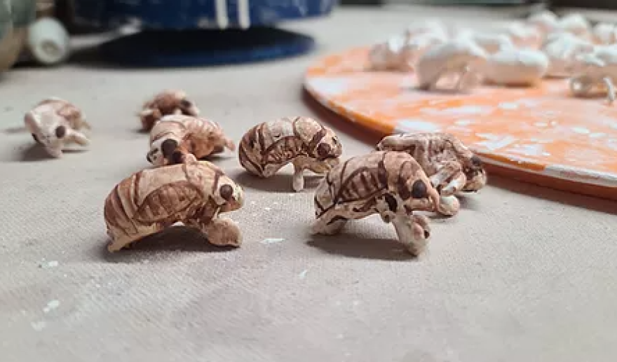 cicada shell art