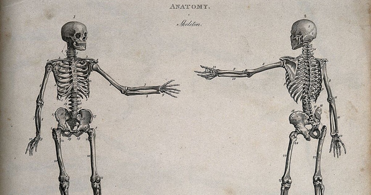 Medical Monday 11/14/22: Musculoskeletal medicine with Dr. William Douglas | WAMC