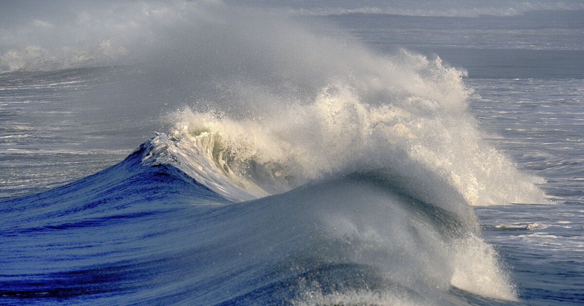 The Conversation Hana Hou: Ocean stories caught on film | Hawai'i ...