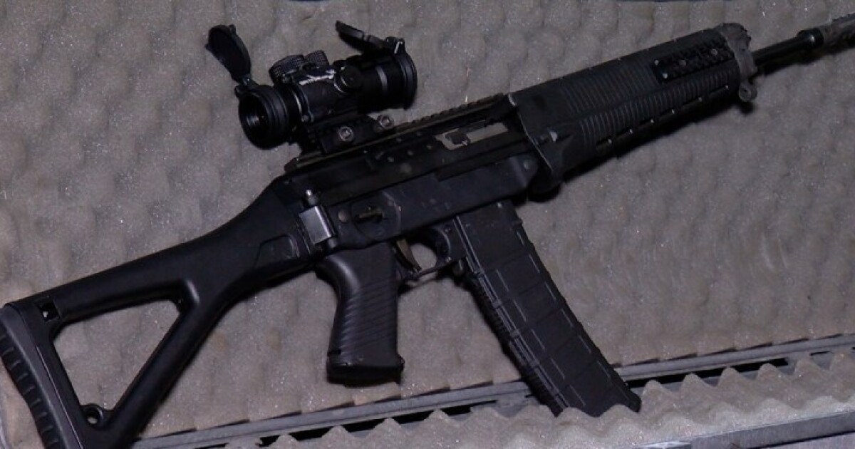 Appeals court keeps Illinois' assault weapons ban in place | NPR Illinois