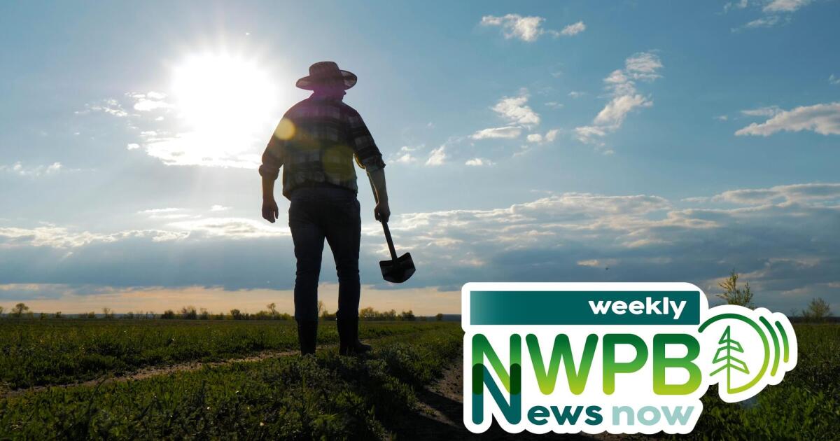 'Zombie' Deer in the NW, Protecting Farm Workers, 105-Year-Old Stanford ...