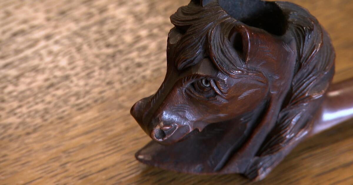 James Braxton and Arusha Irvine, Day 5