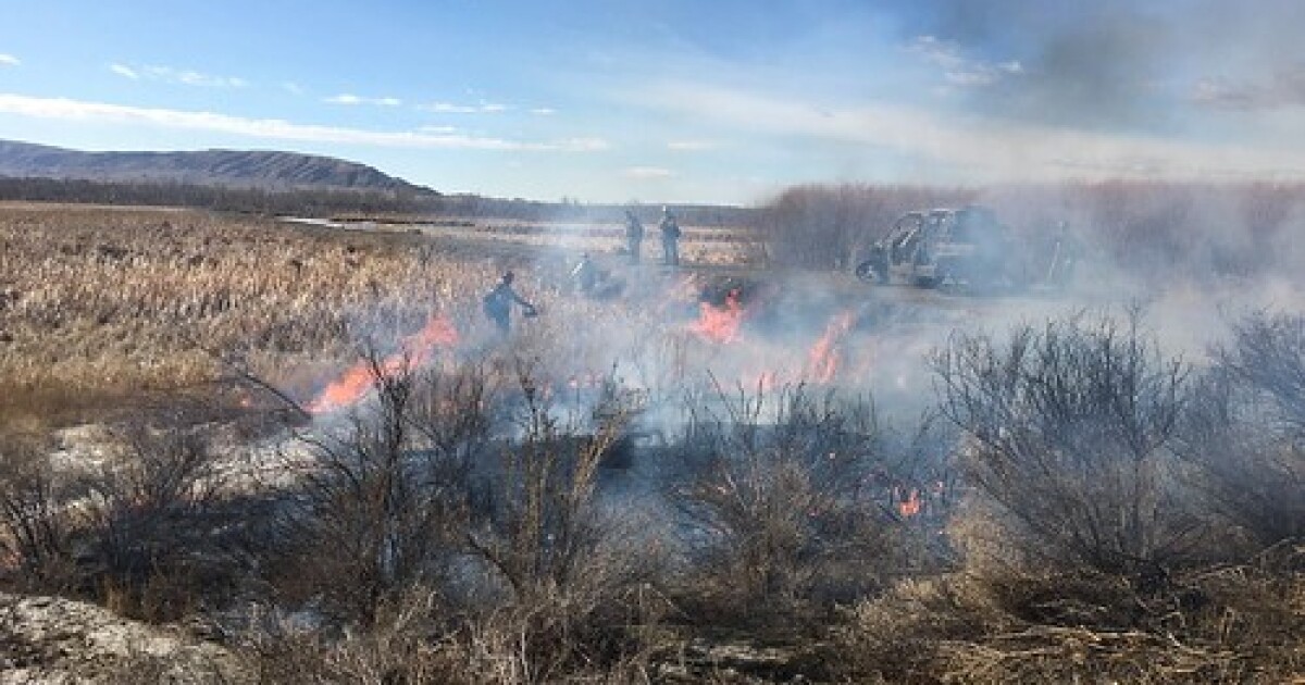 Can fire mitigation help ranchers lower insurance premiums? | KUNC