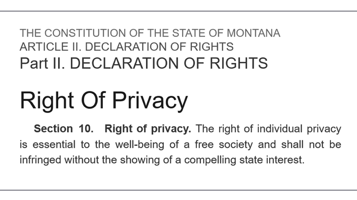 the constitution article 10