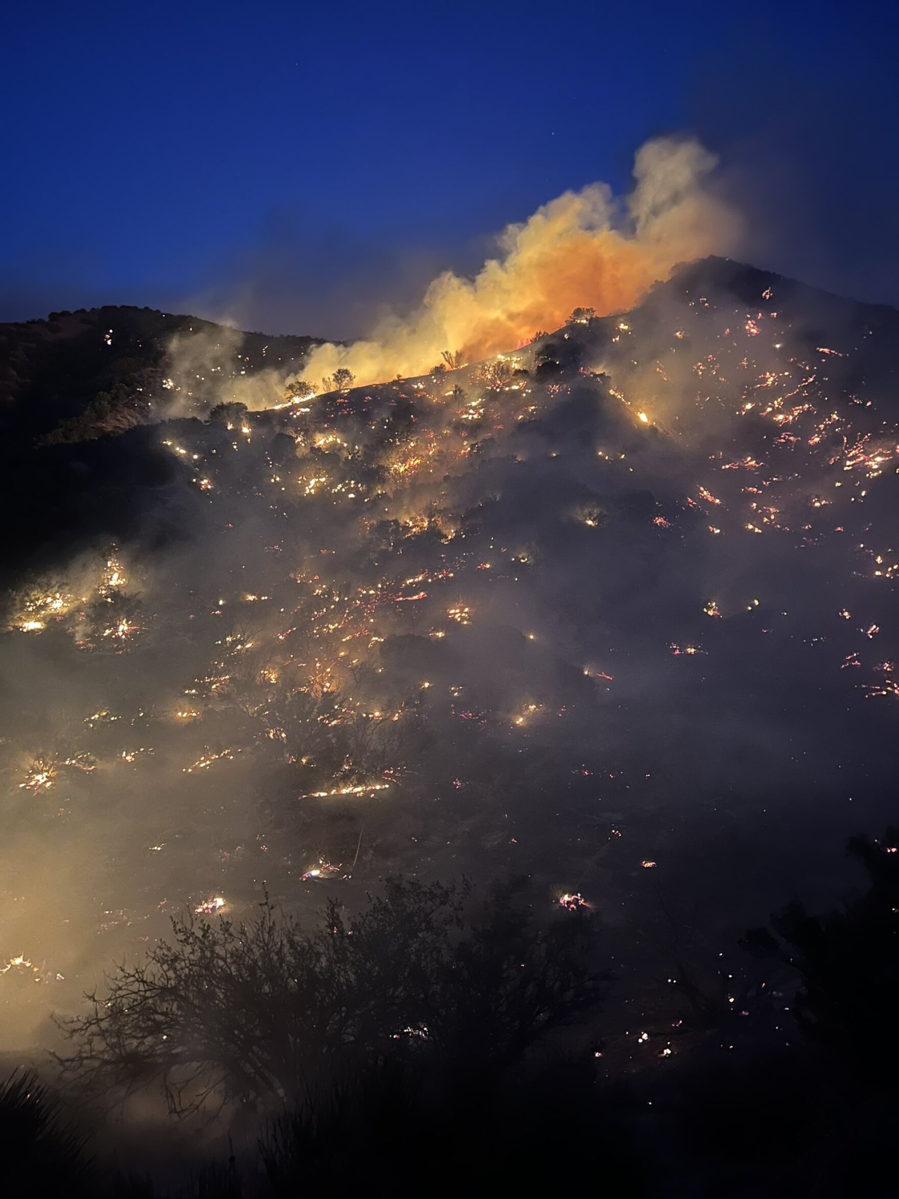 The "Post" wildfire burns more than 14,000 acres of land in Los Angeles ...